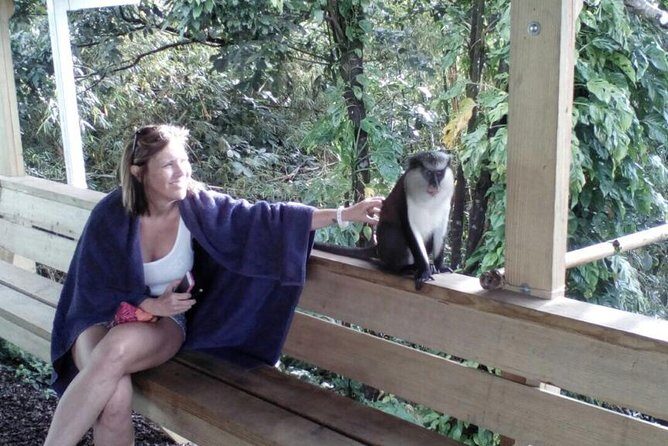 Half-Day Concord Waterfall and Chocolate Factory Tour - Transportation, Duration, and Group Size