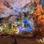 Half-Day Cruise Day Tour in Halong Bay with Lunch - What the Price Gets You — Is It Good Value?