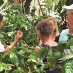 Half-Day Cultural Safari Tour from Punta Cana - Authenticity and Value: What Travelers Will Appreciate