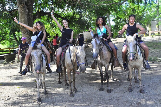 Half-Day Cultural Safari - Pacing and Group Dynamics