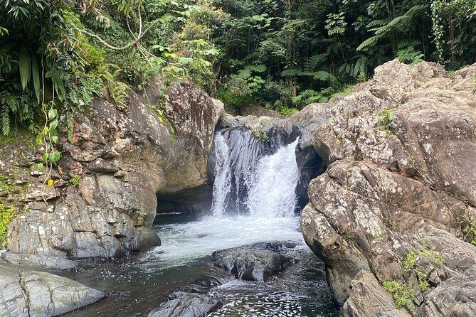 Half-Day El Yunque and Waterslides Adventure from Fajardo - Who Should Consider This Tour