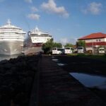 Half-Day Grenada Island Small-Group Sightseeing Tour - Who Should Consider This Tour?