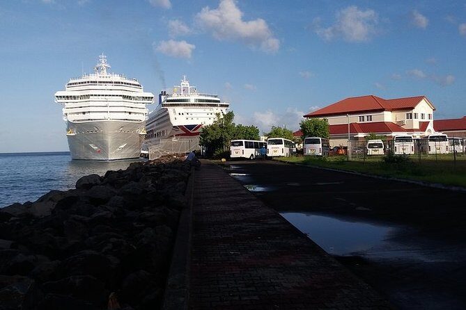 Half-Day Grenada Island Small-Group Sightseeing Tour - Who Should Consider This Tour?