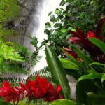 Half-Day Guided Hike to Afareaitu Waterfall - An In-Depth Look at the Afareaitu Waterfall Hike