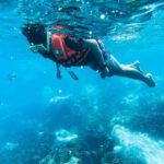 Half Day Guided Snorkeling in Negombo - FAQ