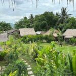 Half Day Hands On Rice Learning Experience in Luang Prabang - What Past Participants Say