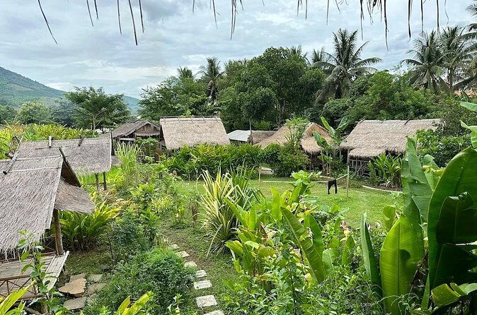 Half Day Hands On Rice Learning Experience in Luang Prabang - What Past Participants Say