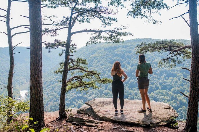 Half Day Hike in New River Gorge National Park & Preserve - A Detailed Look at the Experience