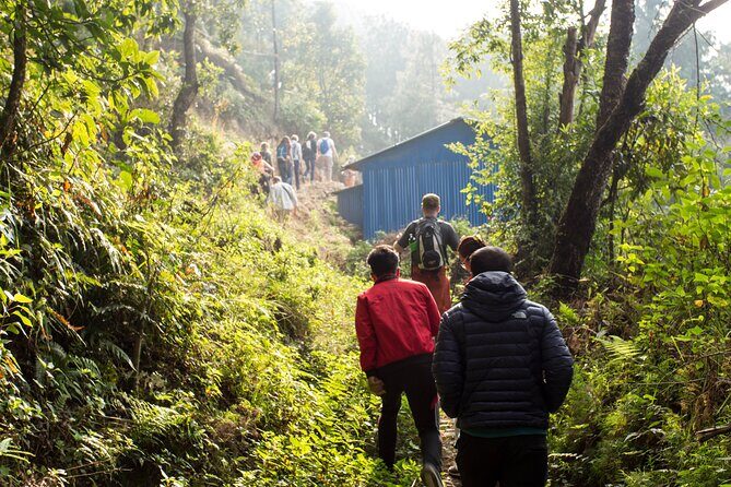 Half Day Hike to Hills and Waterfalls of Nagarkot in Nepal - The Value of Guided Tours Through Rural Nepal
