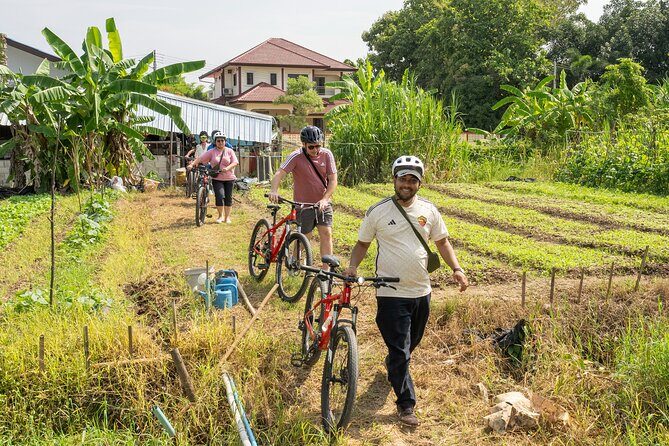 Half Day Historical and Cultural Experience Bicycle Tour - What Makes This Tour Stand Out