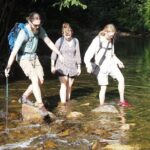 Half Day Koh Chang Jungle Trek for Families and Beginners - Why Choose This Tour?