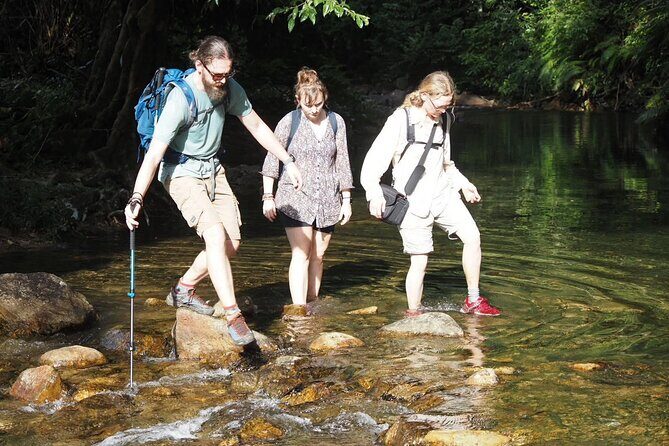 Half Day Koh Chang Jungle Trek for Families and Beginners - Why Choose This Tour?