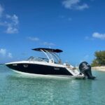 Half-Day Luxury Private Rose Island Pigs and Turtles Excursion - The Itinerary in Detail