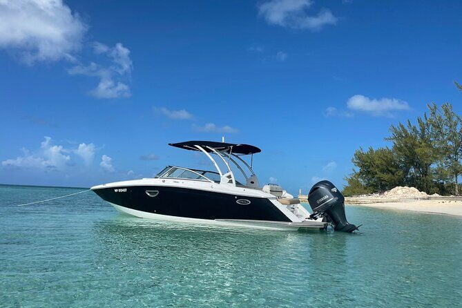 Half-Day Luxury Private Rose Island Pigs and Turtles Excursion - The Itinerary in Detail