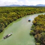 Half Day Mangrove Forest Boat Tour with Lunch or Dinner - The Pros and Cons: What to Expect