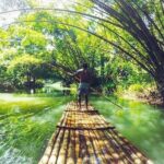 Half-Day Martha Brae River Rafting Tour from Ocho Rios - Practical Considerations