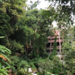 Half Day Morning Wat Pha Lat & Wat Phra That Doi Suthep Tour - What Travelers Are Saying