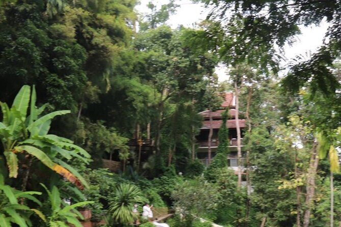 Half Day Morning Wat Pha Lat & Wat Phra That Doi Suthep Tour - What Travelers Are Saying