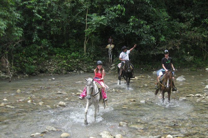 Half-Day Mountain Ride in Puerto Plata - Practical Details: What to Expect