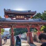 Half Day Naha City Historical Bike Tour - Practical Details and What You Should Know