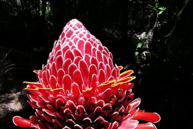 Half-Day Nature Culture Excursion, Tropical Taino Garden Tour - Who Will Enjoy This Tour?