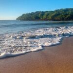 Half-Day: Old San Juan, Calle Cerra,Santurce, La Placita & Loíza - Final Thoughts: Is This Tour Worth It?