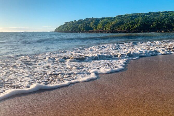 Half-Day: Old San Juan, Calle Cerra,Santurce, La Placita & Loíza - Final Thoughts: Is This Tour Worth It?