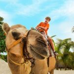 Half-Day Parasailing and Camel Caravan Tour in Maroma Beach - Who It’s Best For