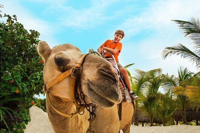 Half-Day Parasailing and Camel Caravan Tour in Maroma Beach - Who It’s Best For