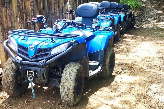 Half Day Private ATV & Shopping Adventure in Negril Jamaica - Who Should Book This Tour?