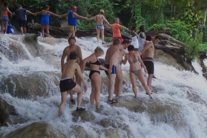 Half- Day Private Bob Marley 9 Mile and Dunns River Falls Tour - Who Will Appreciate This Tour?