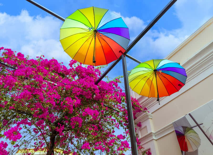 Half Day Private City Tour of Puerto Plata - What to Expect from This Tour