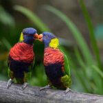 Half Day Private Custom Tour of Martinique - Who Should Consider This Tour?