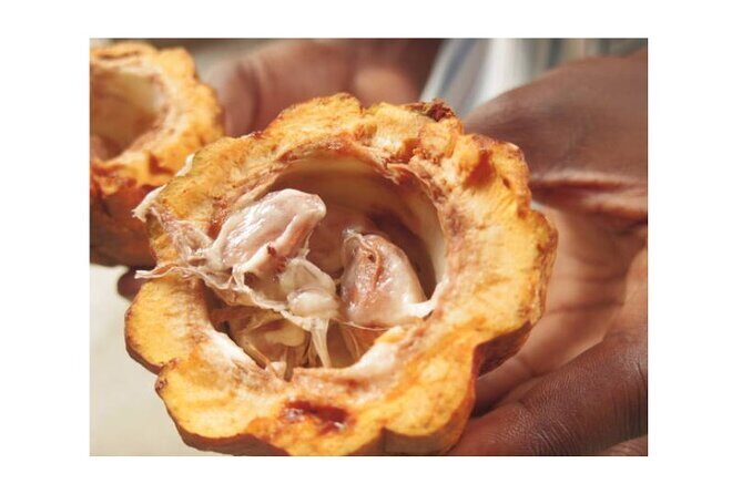 Half Day Private Island Adventure in Grenada - FAQs