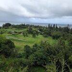Half Day Private Road to Hana Tour with Pickup - Practical Details: What You Need to Know
