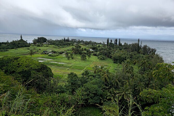 Half Day Private Road to Hana Tour with Pickup - Practical Details: What You Need to Know