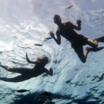 Half-Day private Snorkeling Adventure on a Speedboat - Snorkeling Highlights: Why Marine Life Matters