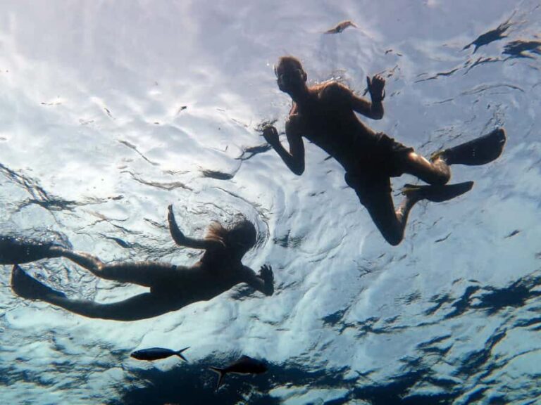 Half-Day private Snorkeling Adventure on a Speedboat - Snorkeling Highlights: Why Marine Life Matters