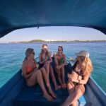 Half Day Private Snorkeling Swim With Turtles Free Gopro - The Experience: From the Water to the Shore