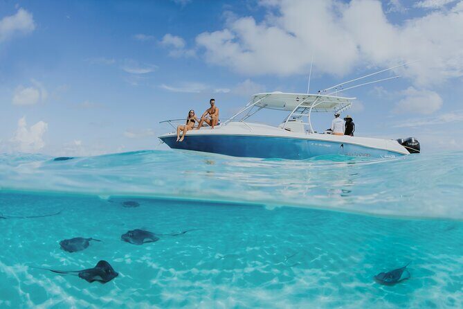 Half-Day Private Stingray City Charter - Grand Cayman - BTC - Why Travelers and Reviews Love This Tour