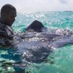 Half-Day Private Stingray City Charter in Cayman Islands - The Price & Its Value