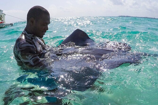 Half-Day Private Stingray City Charter in Cayman Islands - The Price & Its Value