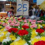 Half-Day Private Tour of the Bangkok Canals - Practical Details and What You Can Expect