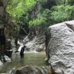 Half Day Puerto Vallarta Waterfall and Jungle Hike with Guide - Who Would Love This Tour?