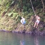 Half-Day Rainforest Tour with Transport from San Juan - The Real Value of This Experience