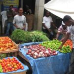 Half Day Safari Tour of Punta Cana - Authentic Experiences and Practical Insights