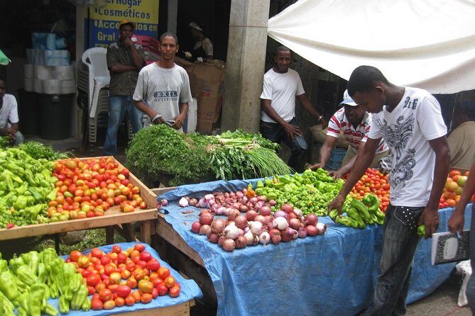 Half Day Safari Tour of Punta Cana - Authentic Experiences and Practical Insights