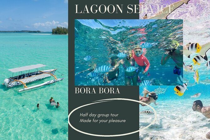 Half-Day Small-Group Cruise in Bora Bora with Snorkelling - Itinerary and Experience Breakdown