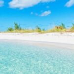 Half-day Snorkeling, Cruising, Iguana Island, Half Moon Bay - An In-Depth Look at the Experience