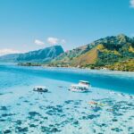Half Day Snorkeling in Moorea - The Snorkeling Itinerary: What to Expect